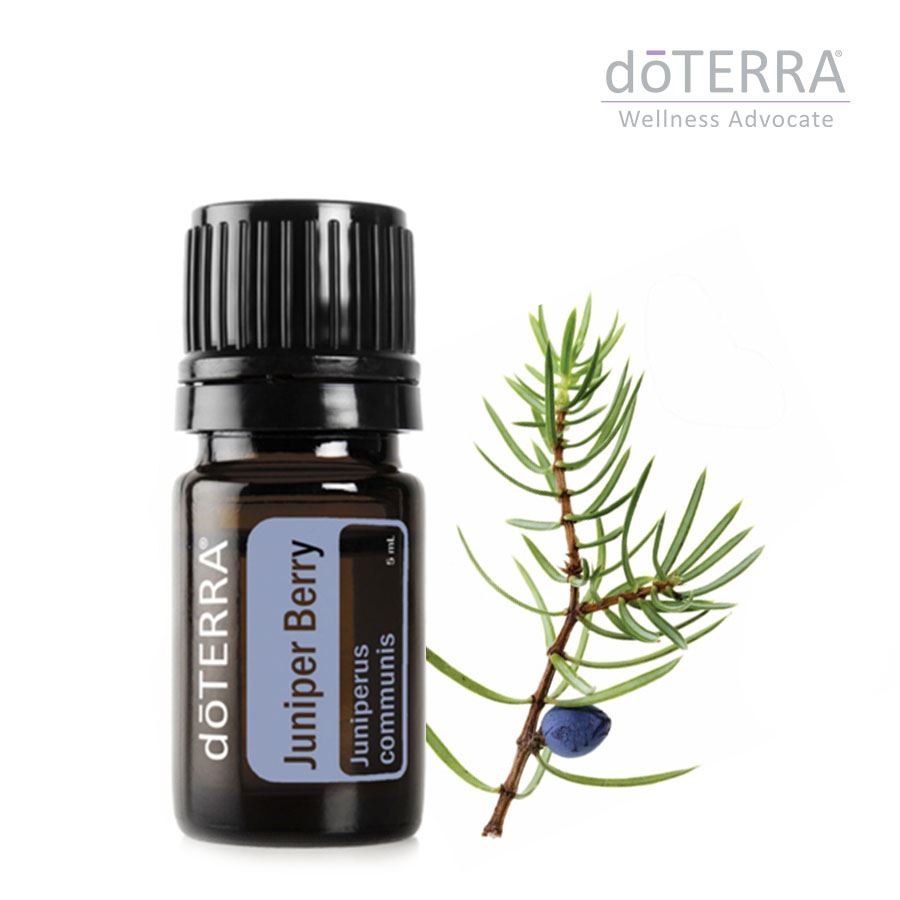 Esenciálny olej doTERRA Juniper Berry, borievka, 5 ml | Vitaherbals.sk
