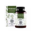 Spirulina Chlorella Bio 1:1 | 6000mg Denná Dávka | 500 Tabliet ...